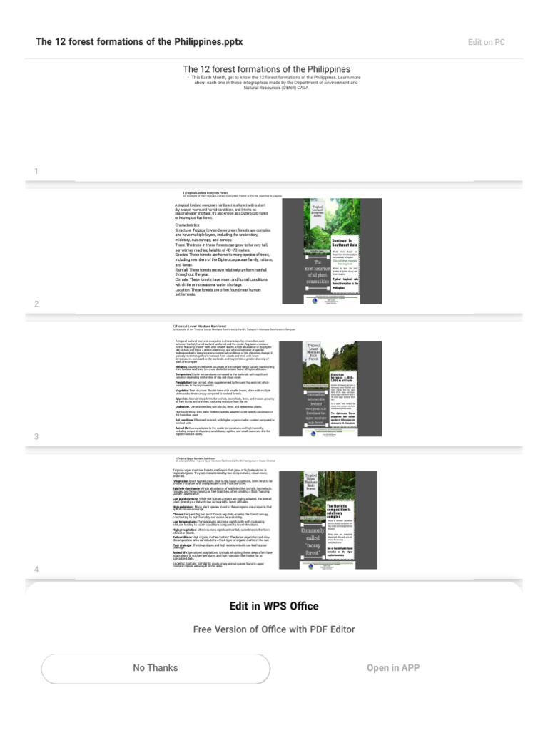 The 12 Forest Formations of The Philippines | PDF | Forests | Rainforest