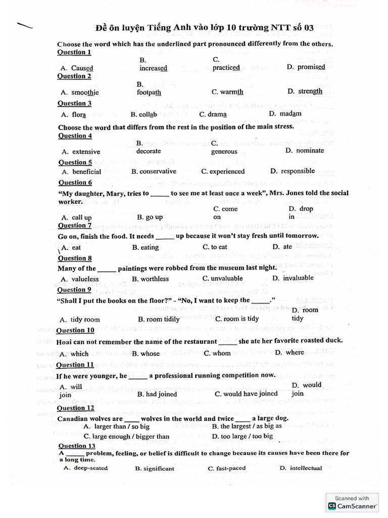 Đề Ôn Luyện Vào 10 NTT 03 | PDF