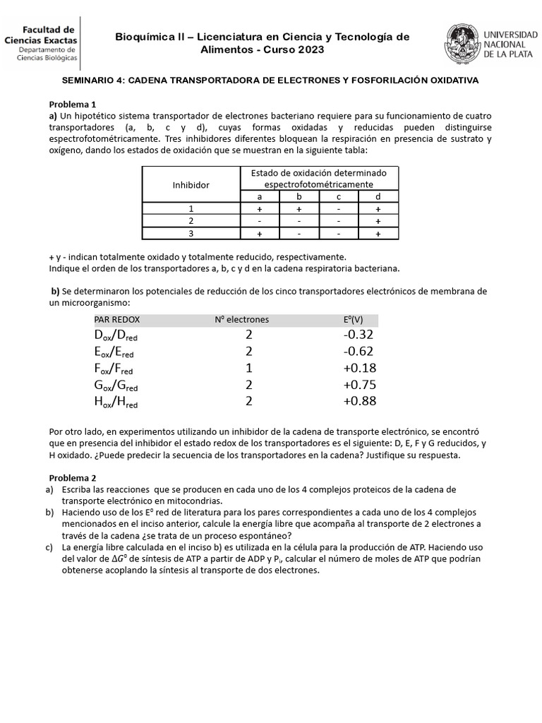 Seminario 4 - Cadena y Fosf Oxidativa - 2023 | PDF | Trifosfato de ...