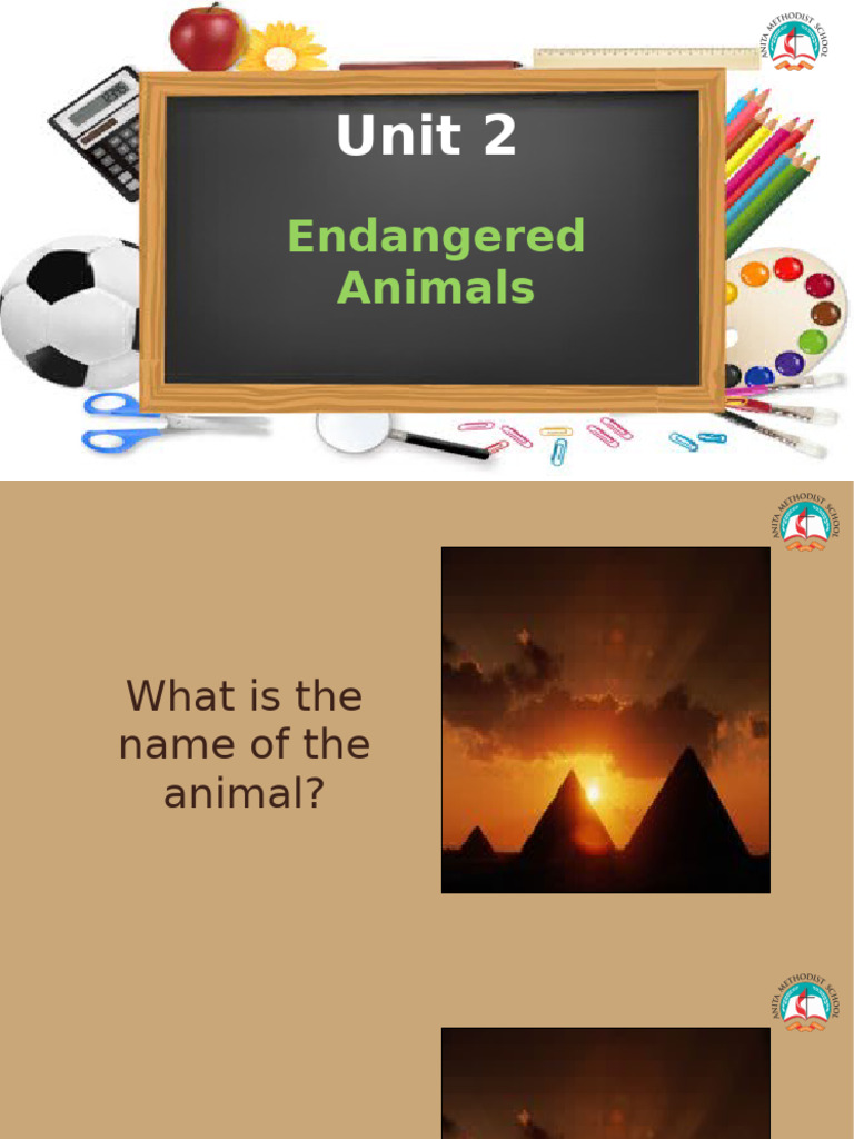Understanding Endangered Species | PDF | Endangered Species ...