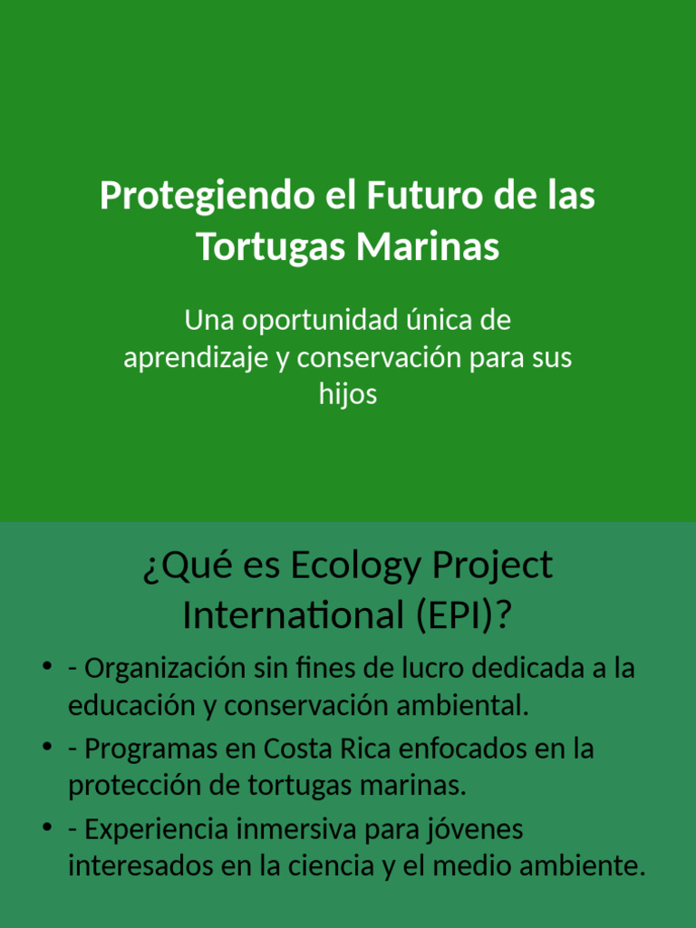 Conservación de Tortugas en Pacuare | PDF