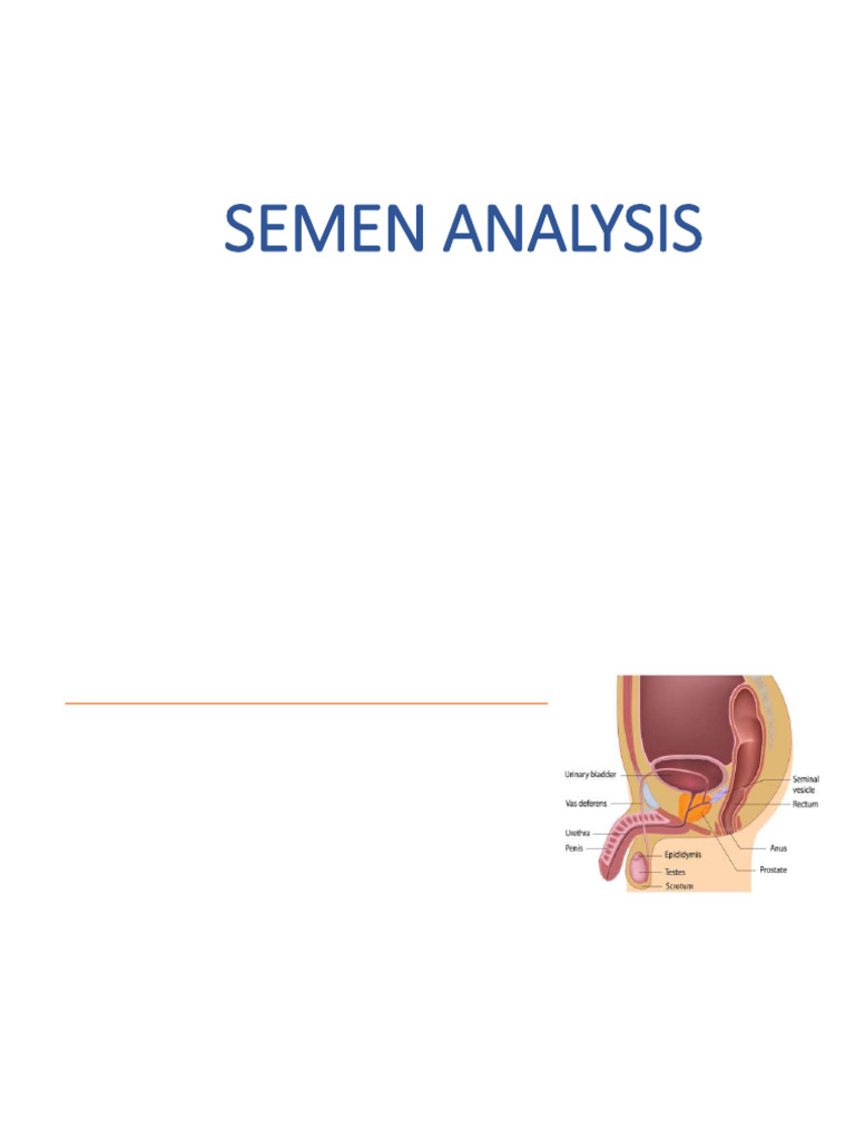 SEMEN ANALYSIS | PDF | Semen | Sexual Health
