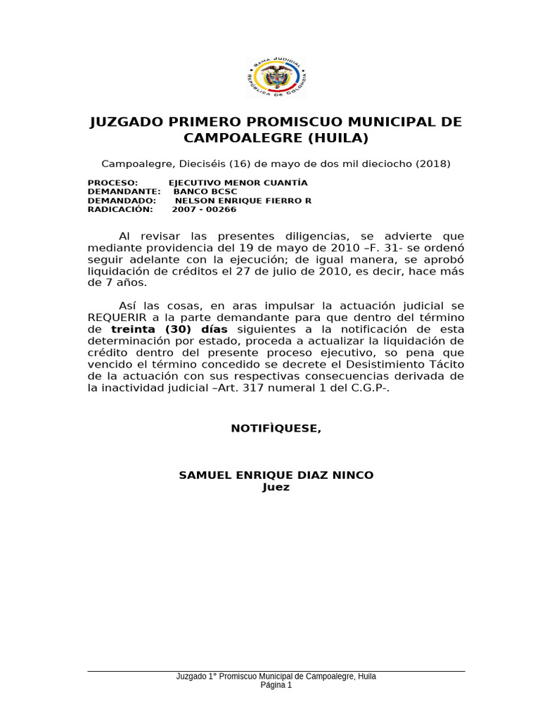 2007-266 requerimiento previo | PDF