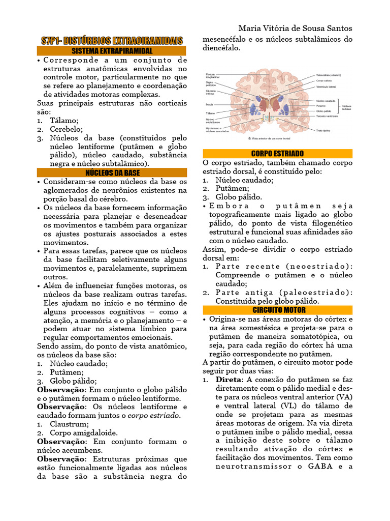 Distúbios Extrapiramidais (Parkinson) | PDF | Cerebelo | Gânglios basais