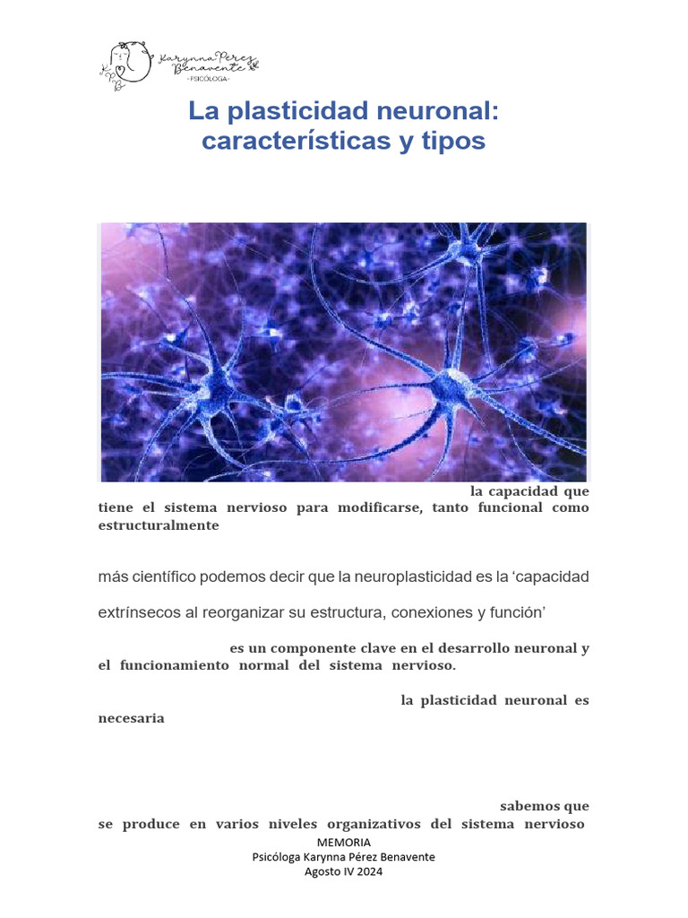 La Plasticidad Neuronal | PDF | Neuroplasticidad | Sinapsis