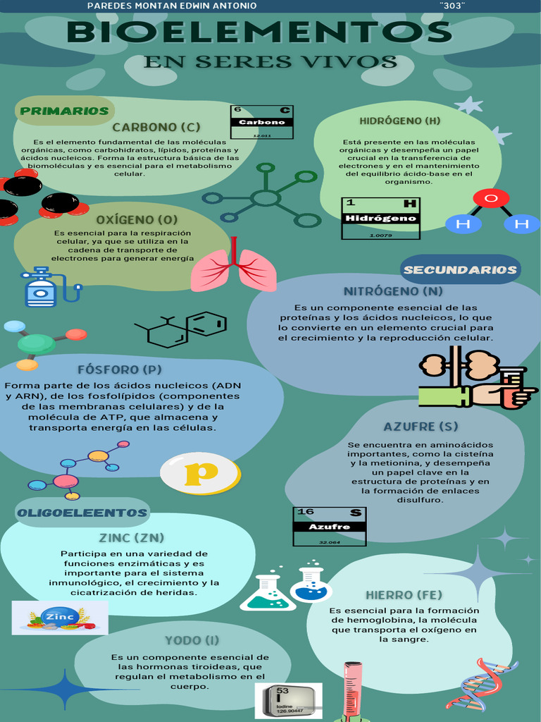 Infografias de Bioelementos y Biomoleculas | PDF | Proteínas | Biomoléculas