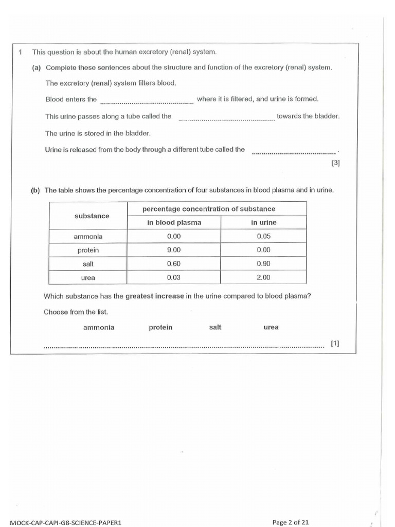Mock Paper 1.1 | PDF