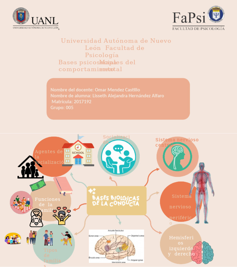 mapa mental bases psicosociales | PDF