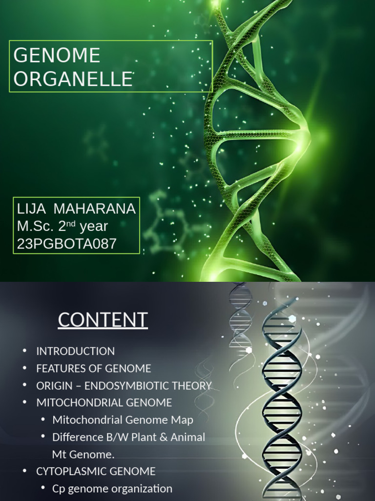 Organell Genome | PDF | Genome | Organelle