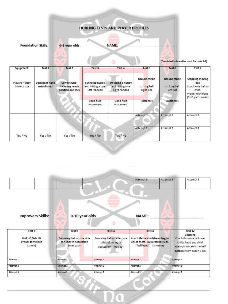 Hurling Skills Assessment Tests | PDF | Athletic Sports | Ball Games