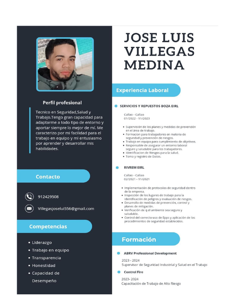CV Jose Luis | PDF