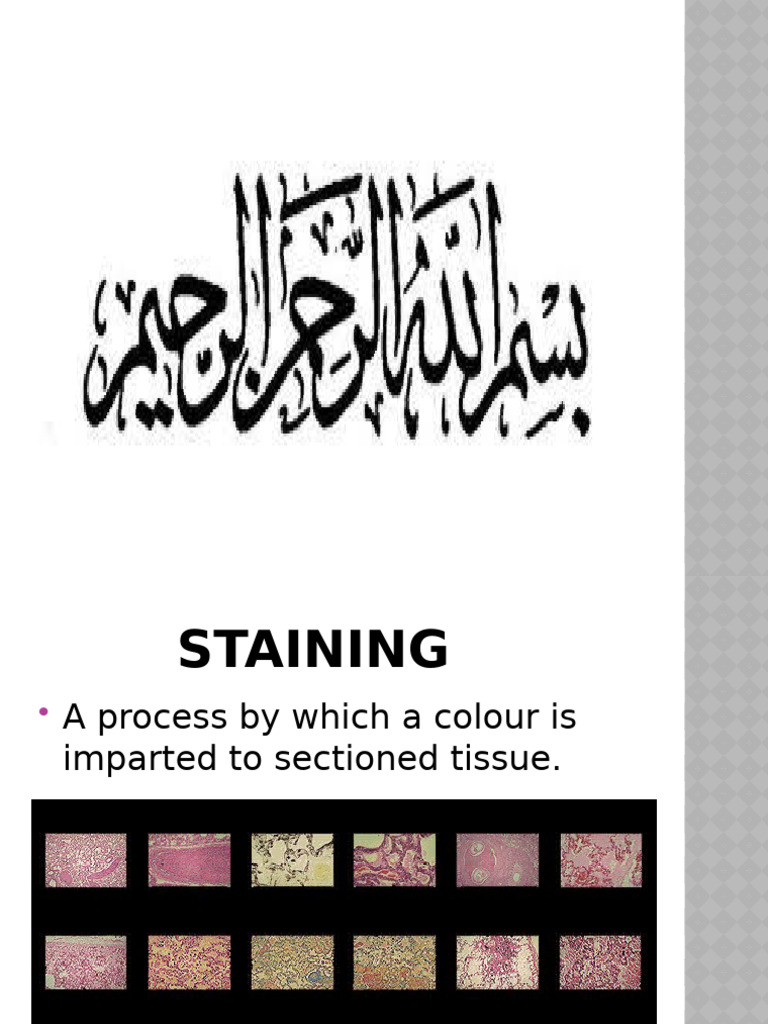 STAINING | PDF | Staining | Histology