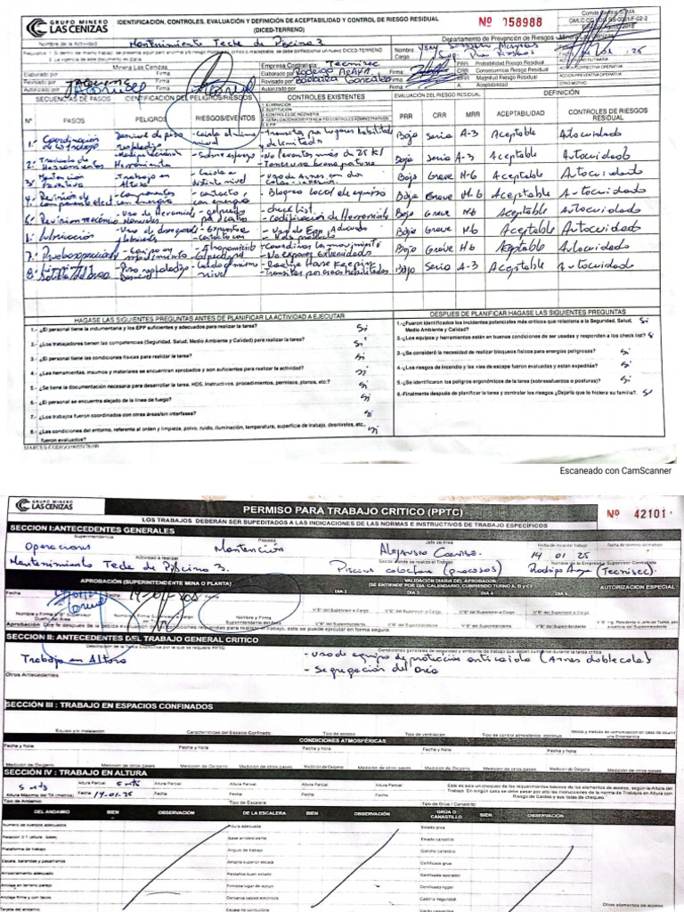 Diced PLL 14 Enero | PDF