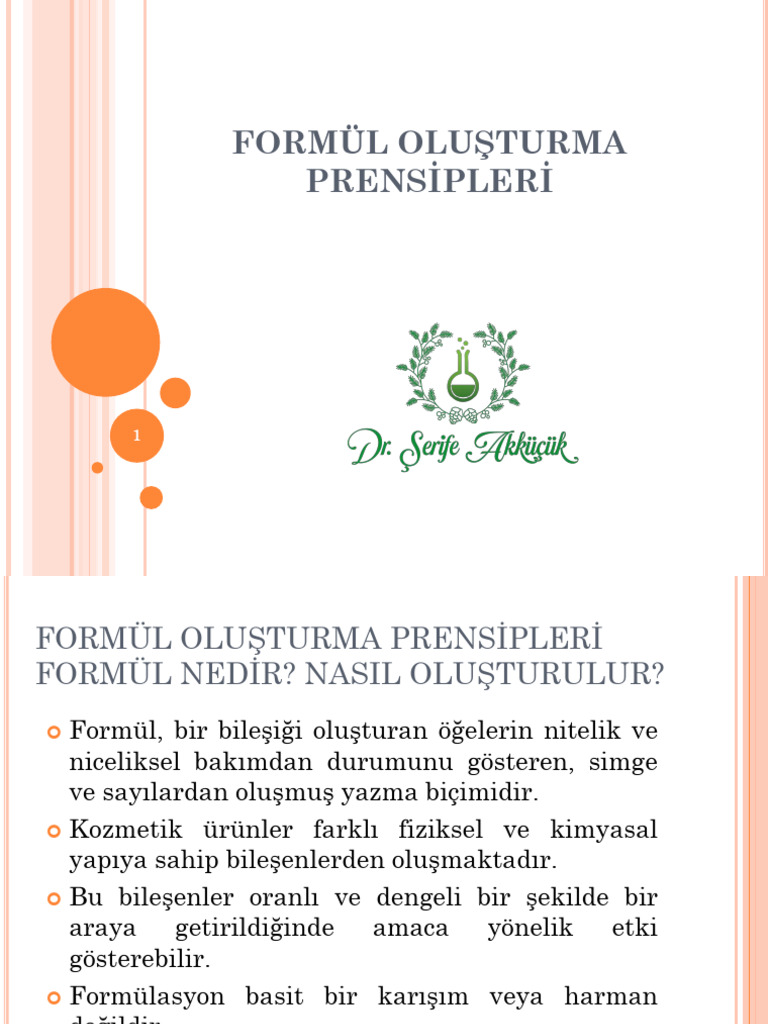 b8d2. Formul Olusturma Prensipleri | PDF