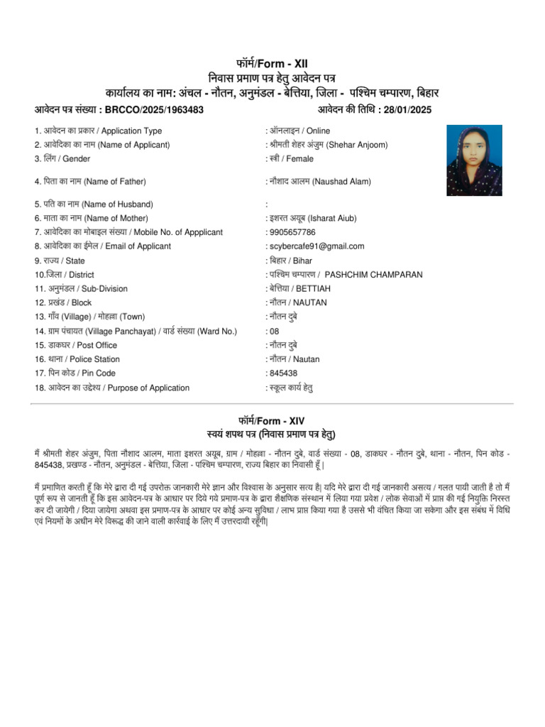 Brcco 2025 1963483 | PDF