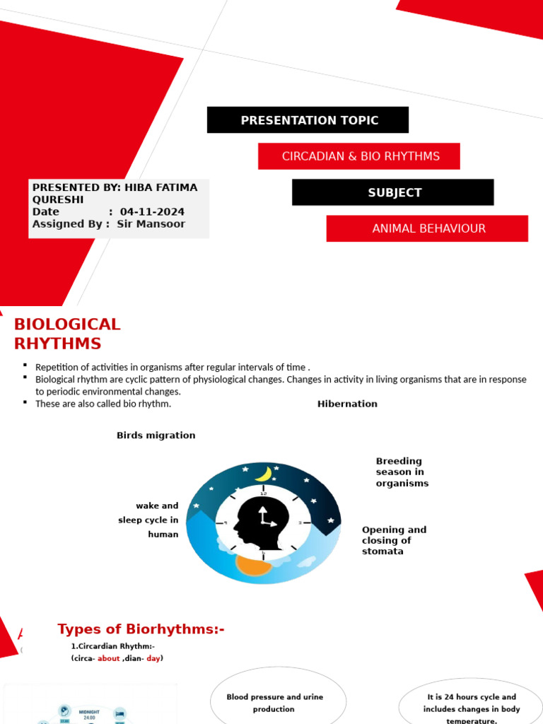 Biological Rhythms in Animals | PDF | Circadian Rhythm | Physiology