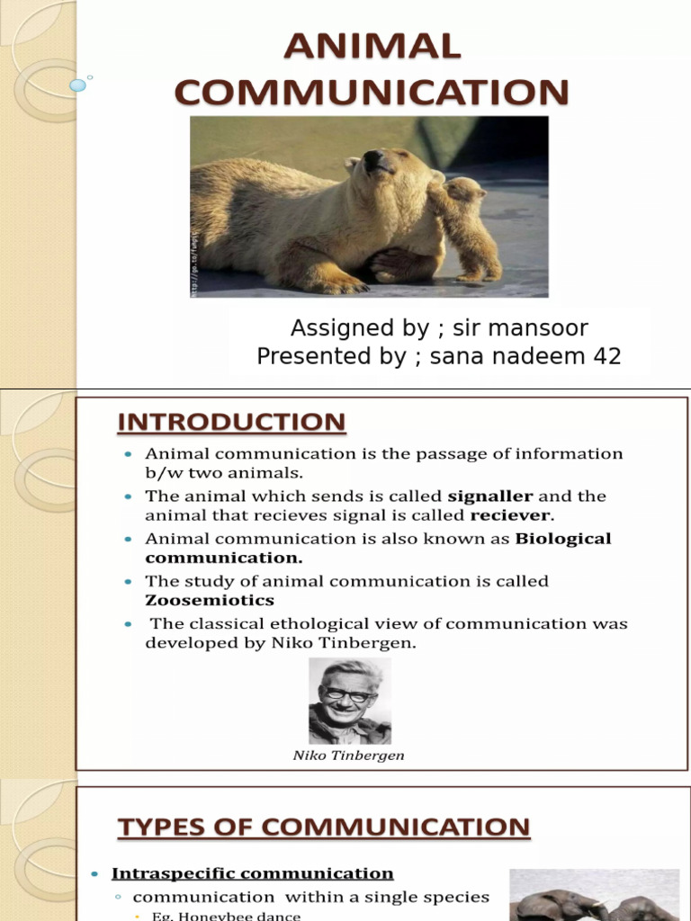 Animal Behaviour | PDF