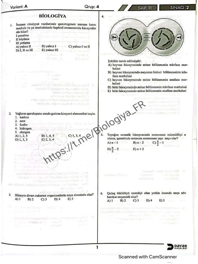 @Biologiya_FR 11-ci sinif biologiya Dəyər S2 | PDF