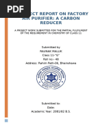 Carbon Purification Model Overview | PDF