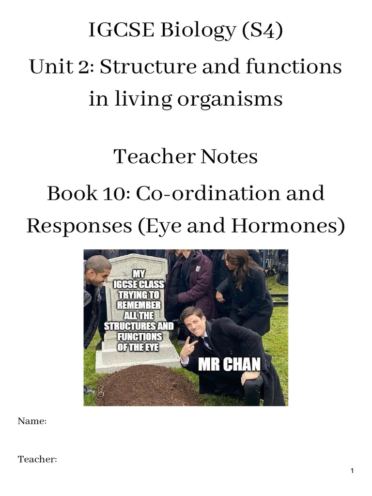 Unit 2 Book 10 Teacher Notes Co-Ordination and Responses (Eye) | PDF ...