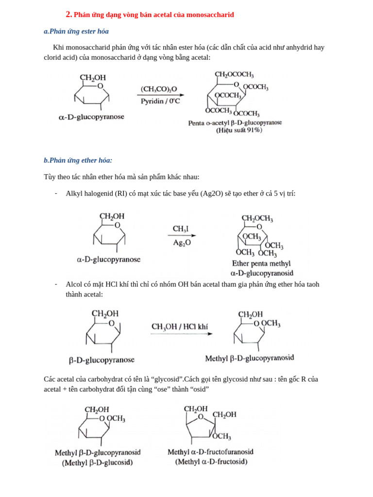 Phản Ứng Dạng Vòng Bán Acetal Của Monosaccharid | PDF