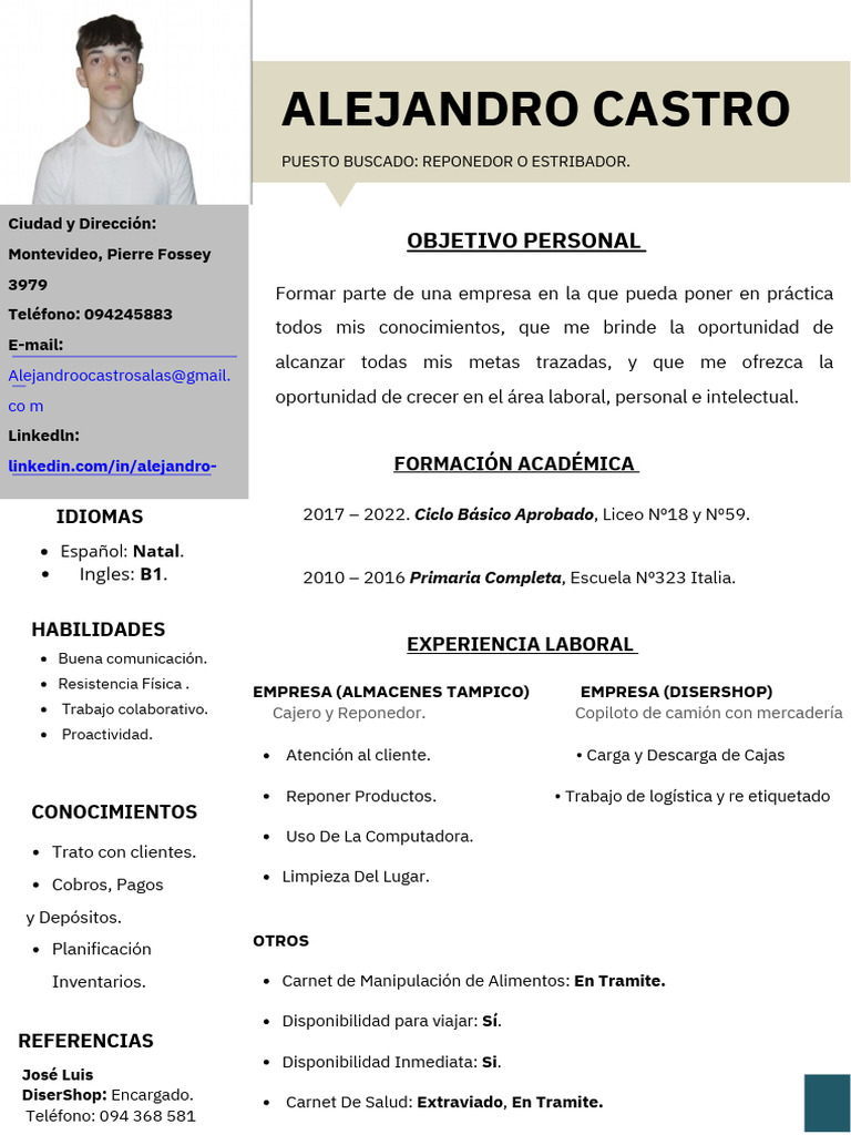 CV ALEJANDRO CASTRO 2-1.pdf-1 | PDF