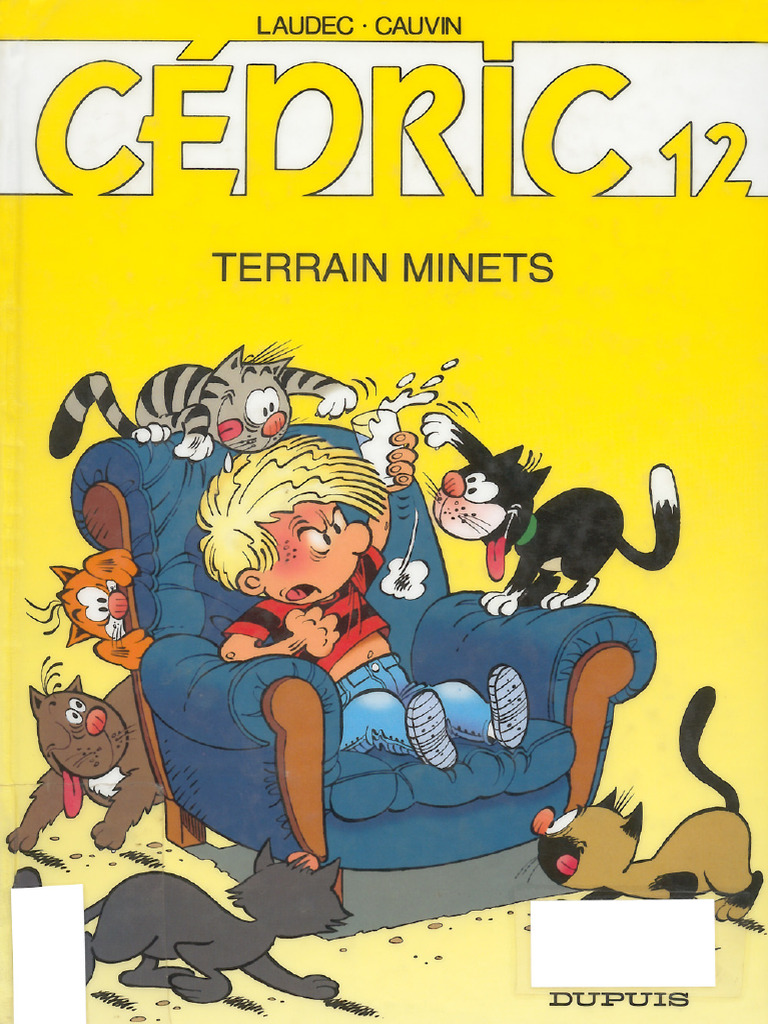 Cédric -Terrain Minés | PDF
