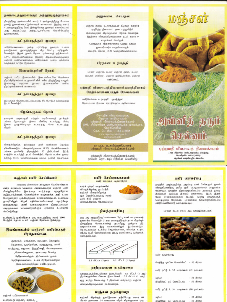 Turmeric Meaning in Tamil | PDF