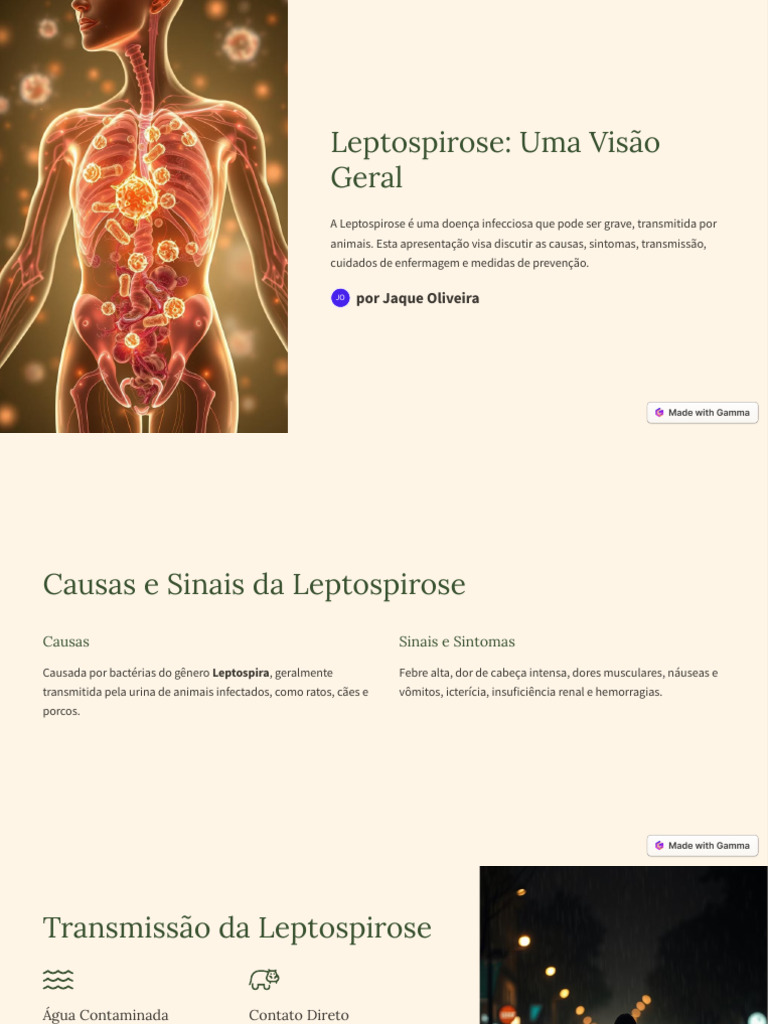 Leptospirose Uma Visao Geral | PDF