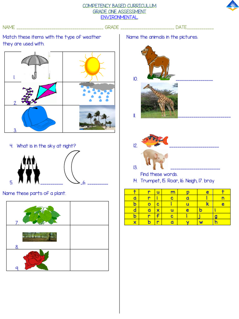 Grade One Environmental Assessment | PDF