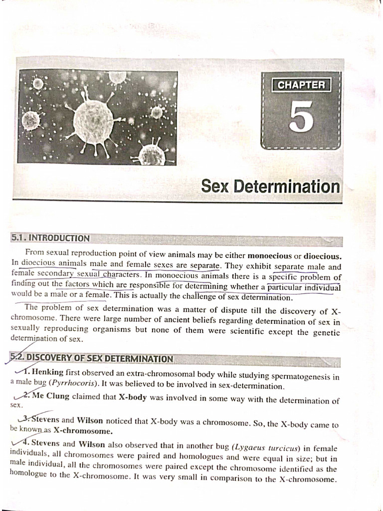 Chromosomal Basis of Sex Determination | PDF