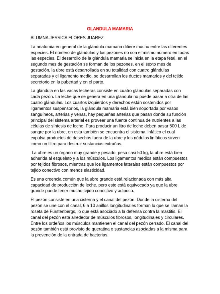 GLANDULA MAMARIA | PDF