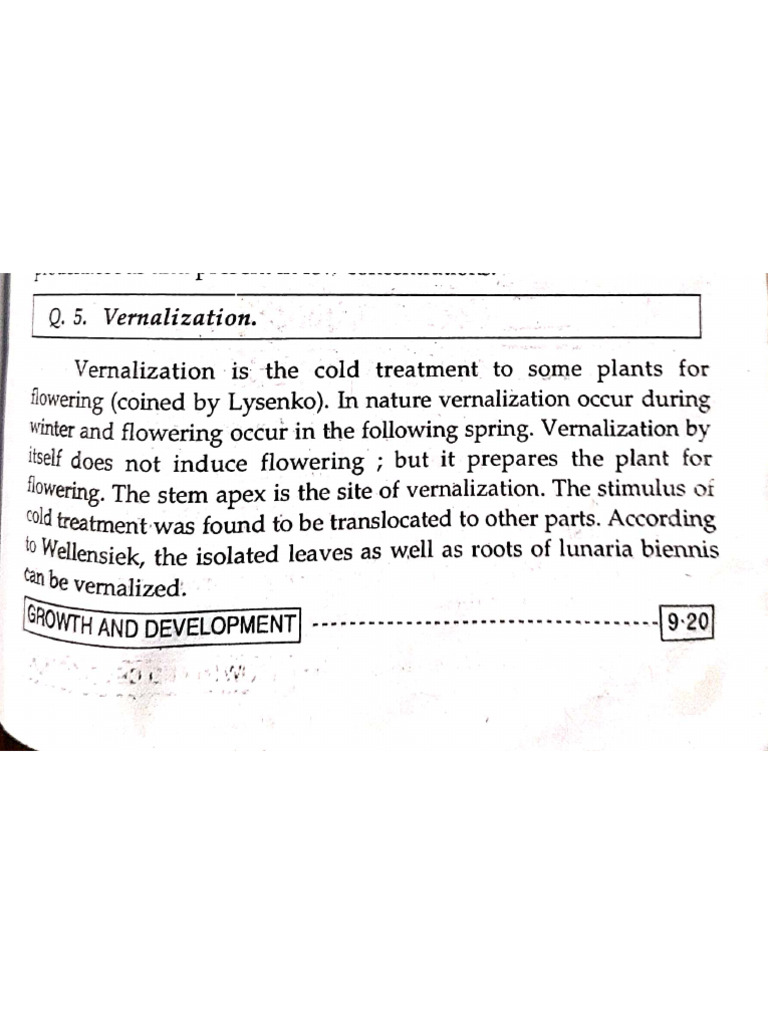 Vernalization | PDF