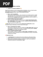La Quitina Características y Funciones | PDF