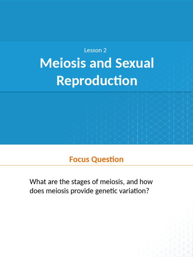 Meiosis and Sexual Reproduction Part 2 | PDF | Meiosis | Chromosome