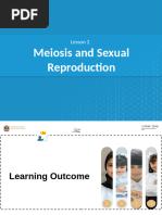 Video Recap of Meiosis by Amoeba Sisters Updated Pictures | PDF | Meiosis | Chromosome