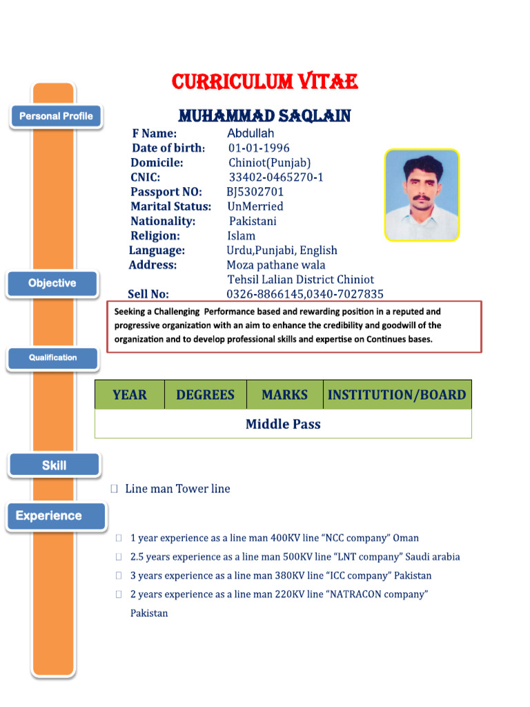 Saqlain CV | PDF
