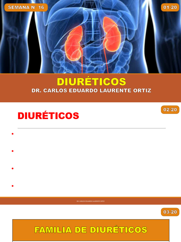 16° CLASE - DIURETICOS | PDF | Especialidades Medicas