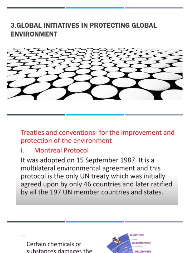Global Initiatives in Protecting Global Environment | PDF