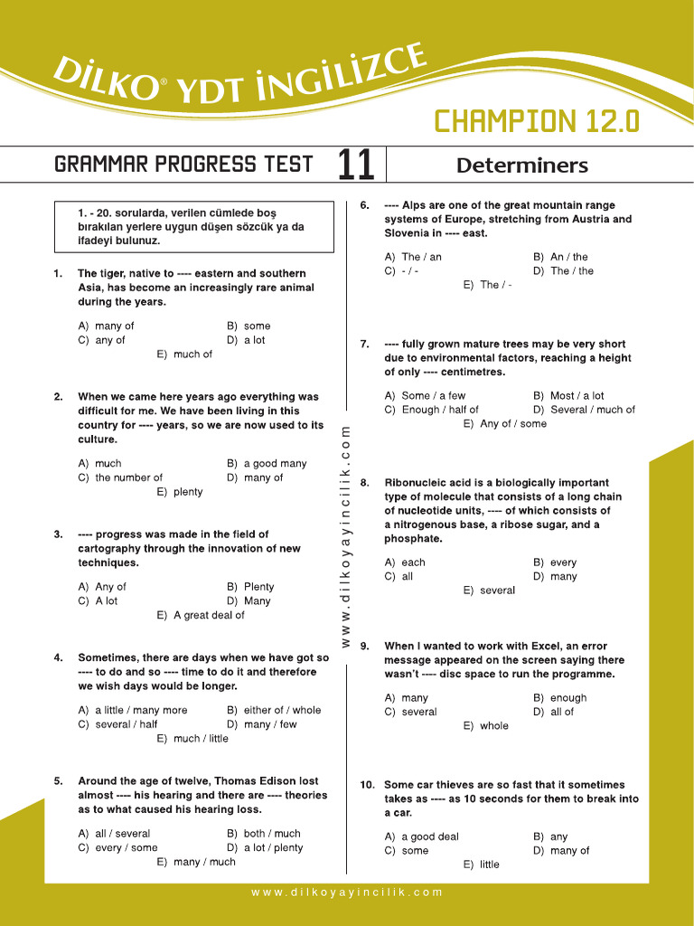 Champion 12.0 Grammar Progress Test 11 | PDF