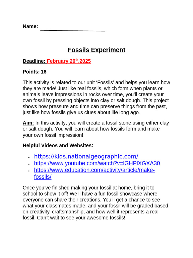 Create Your Own Fossil Project | PDF | Fossil | Paint