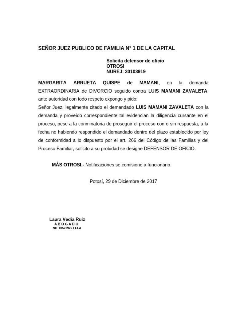Defensor de Oficio | PDF