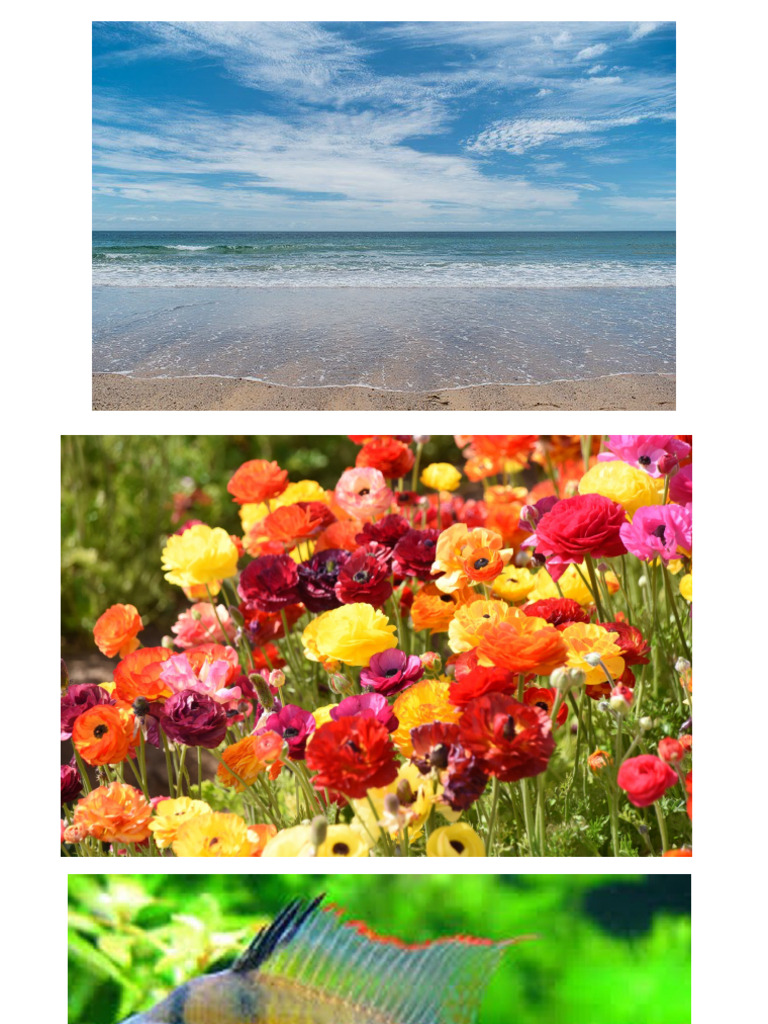 beautiful nature for my kuni | PDF