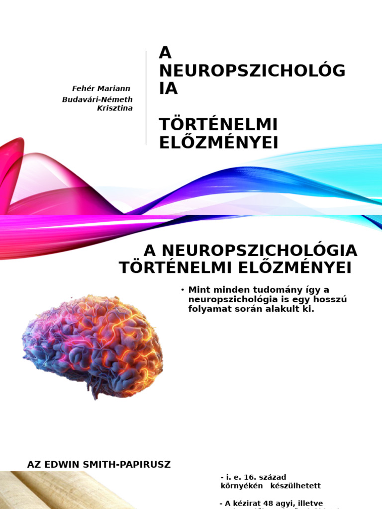 A Neuropszichológia | PDF