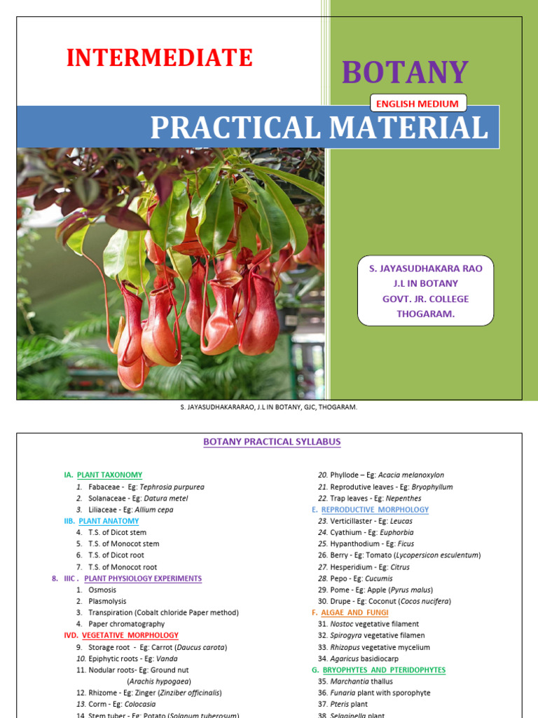 Botany Practical Material Em 2022-23 (1) | PDF | Fruit | Leaf