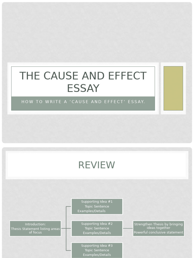 Writing a Cause and Effect Essay Guide | PDF | Causality | Essays