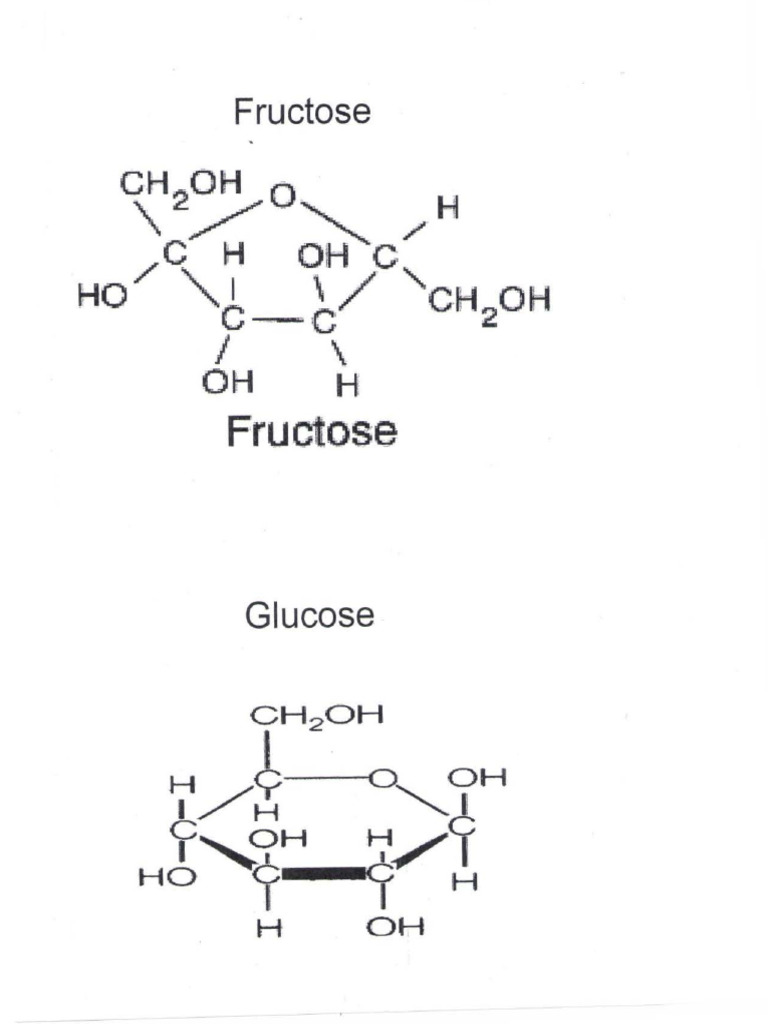 Gabrielli Costa Dos Santos - Glucose & Fructose Sheet | PDF