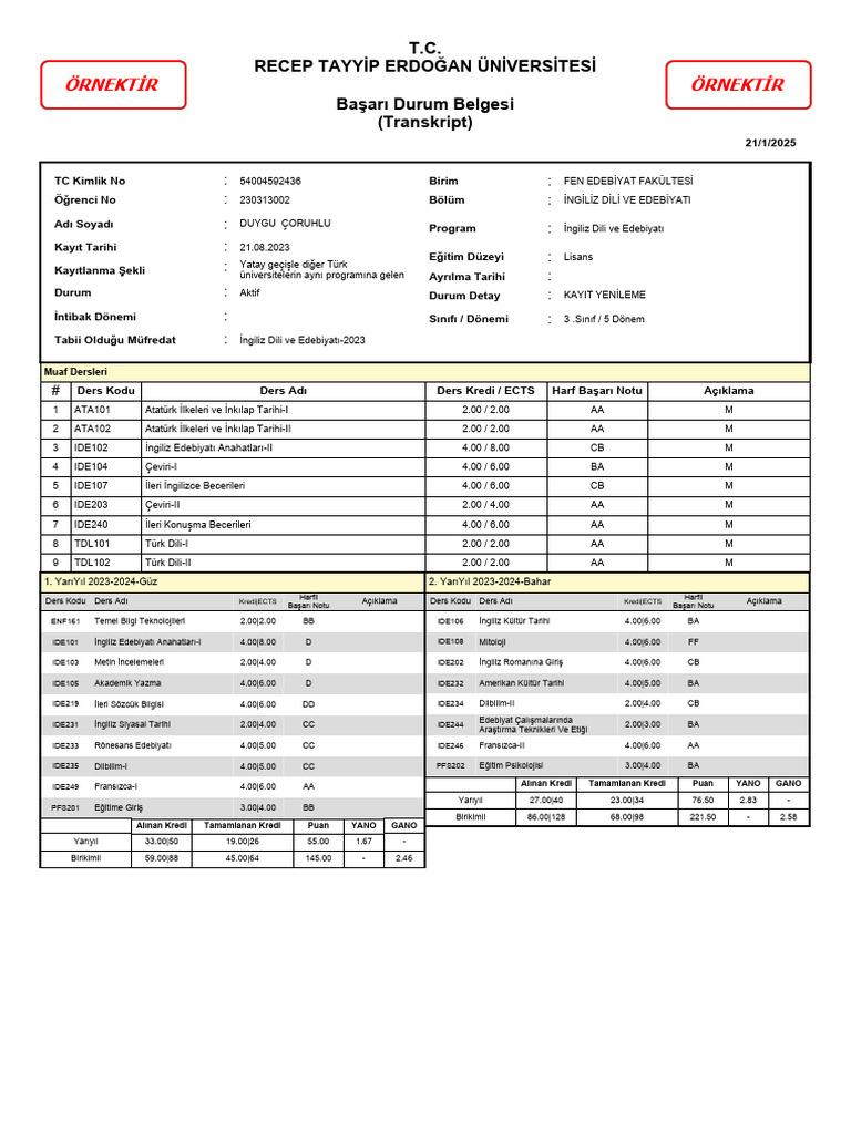 Transkript - 1 - 21 - 2025 12 - 32 - 35 PM | PDF