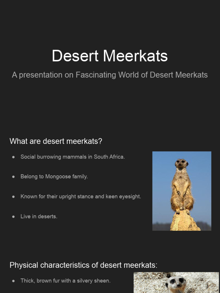 Unit-8 Desert Meerkats | PDF