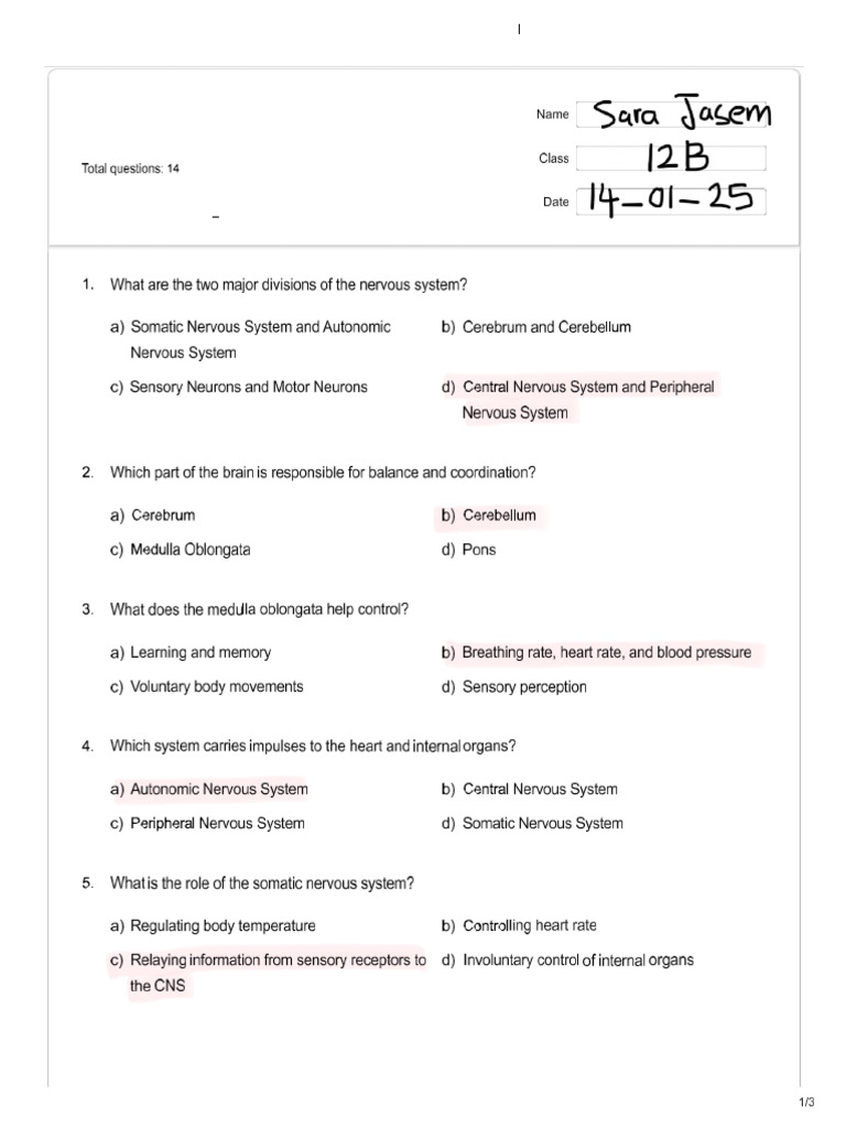 Nervous_system-worksheets | PDF
